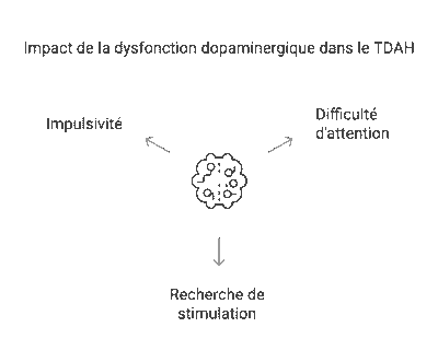 TDAH 3 types et 7 profils que vous ignorez (2025)